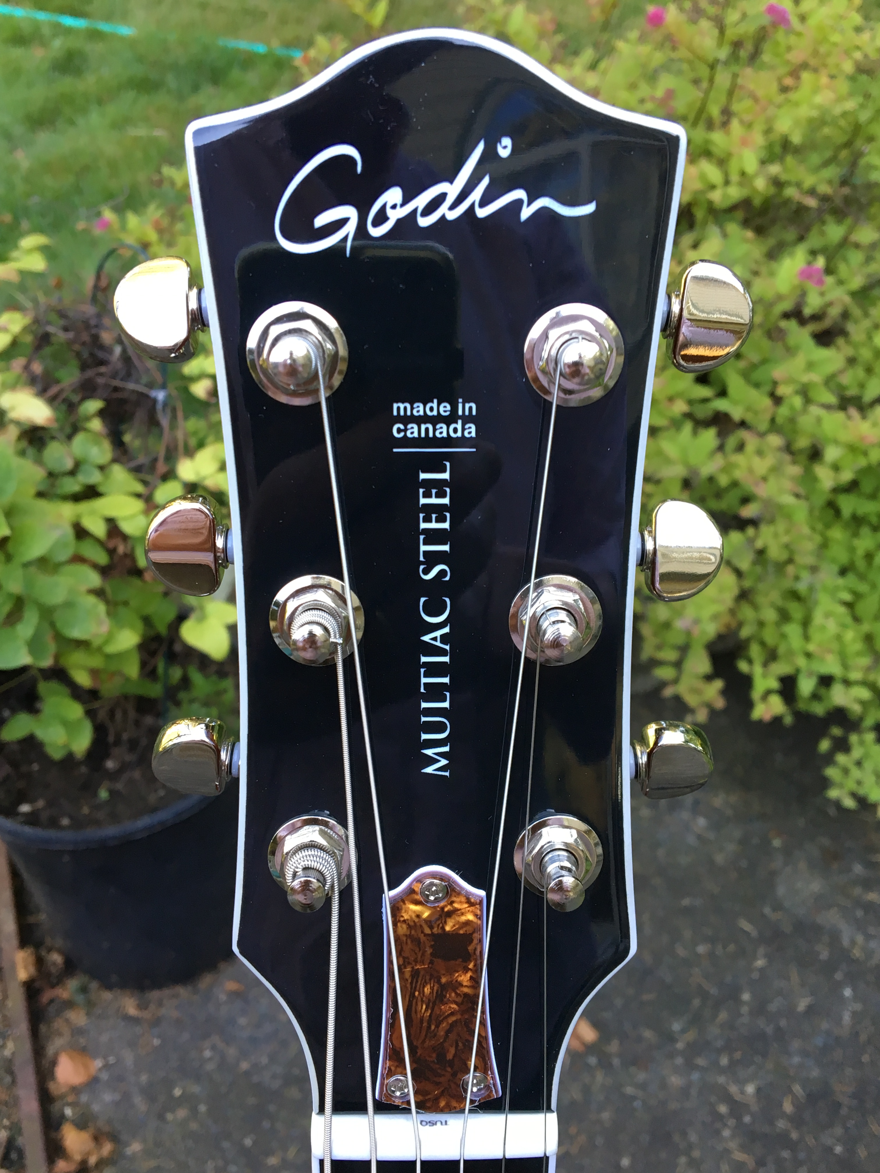 Guitar Review: Godin Multiac Steel (Natural) | Father Irenaeus Williams